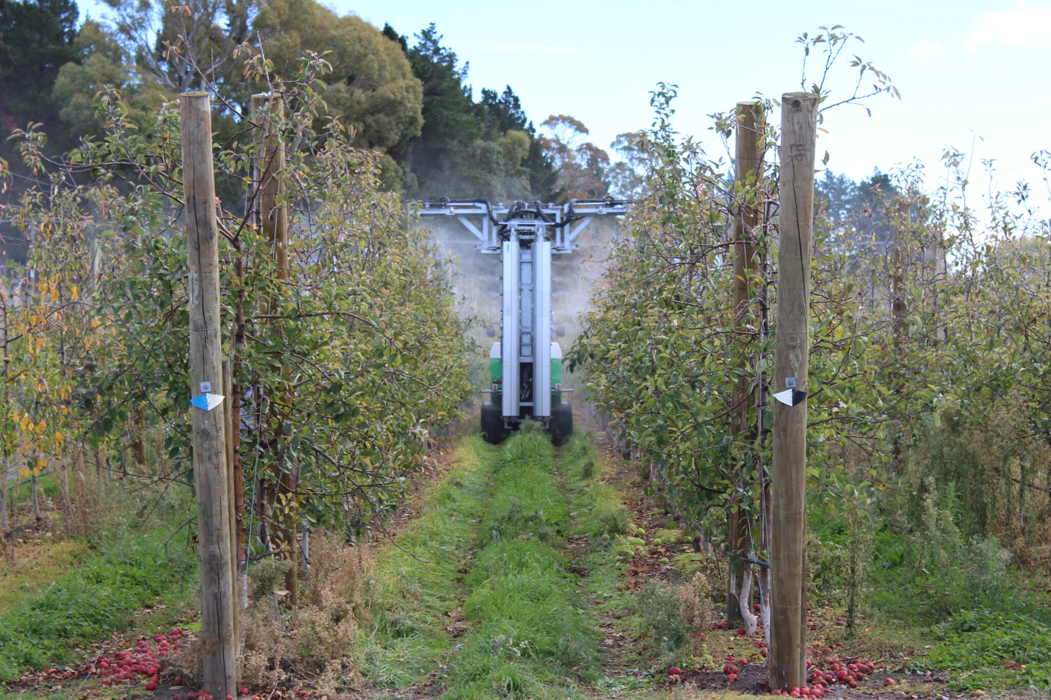 3-Row Orchard Sprayer – TRS Sprayers & Equipment